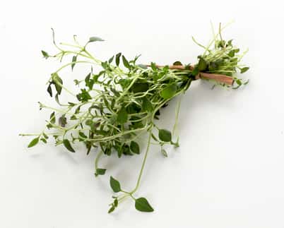 Grillede rødbeter med fetaost – Sunne oppskrifter fra Roede